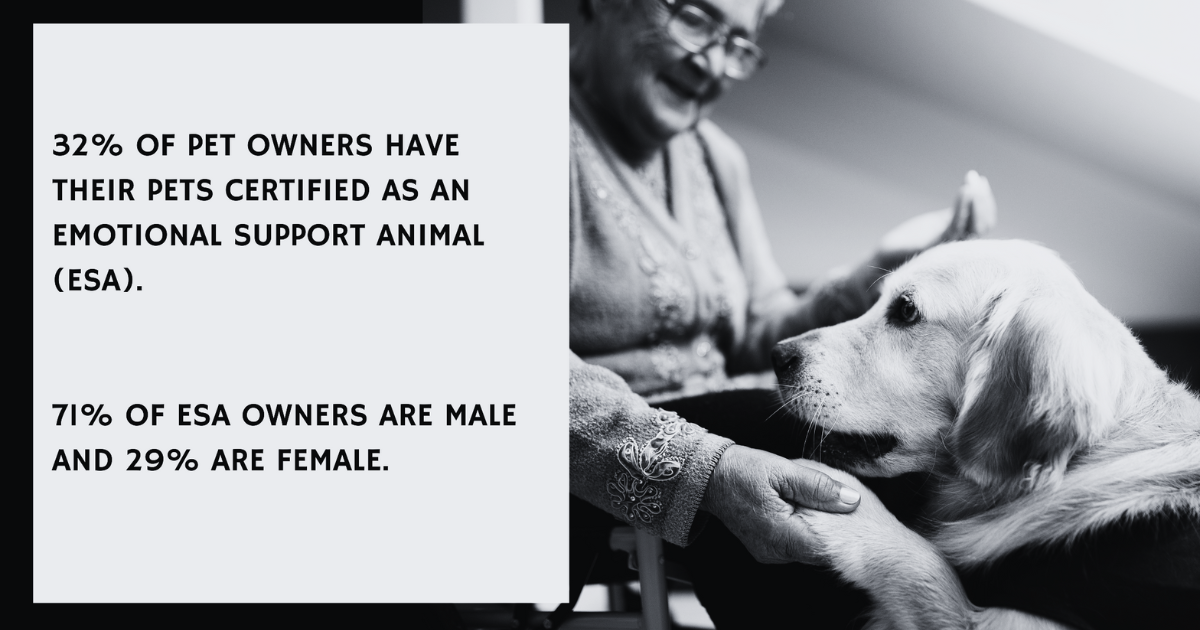 How Does a Dog Become an Emotional Support Animal? – Dr. Jeff Werber